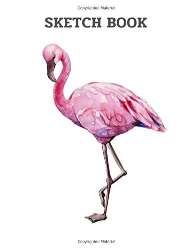 Sketch Book: Cute Bird Sketchbook for Children: 120 Pages of 8.5 x11 ...