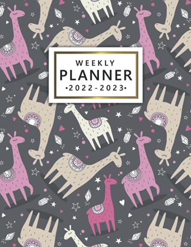 2022-2023 Weekly Planner: Glossy 2 Year Daily Organizer Calendar ...