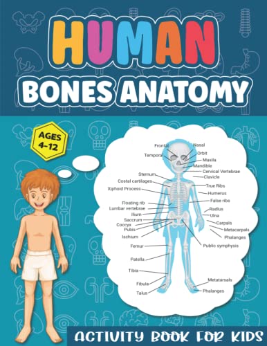 Human Bones Anatomy Activity Book for Kids: Interactive Educational ...