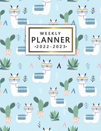 2022-2023 Weekly Planner: Funky Llama Glossy 2 Year Daily Organizer ...