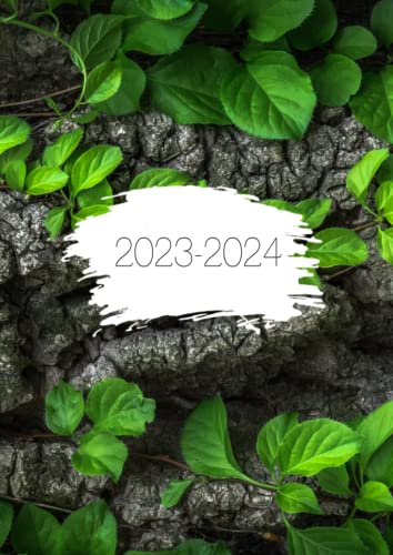 2023-2024: My school teacher planner for the whole year – Class Diary ...