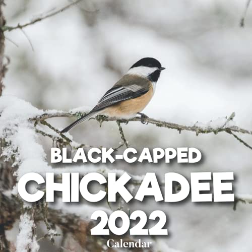 Black-Capped Chickadee 2022 Calendar: A Monthly and Weekly 12 Months ...