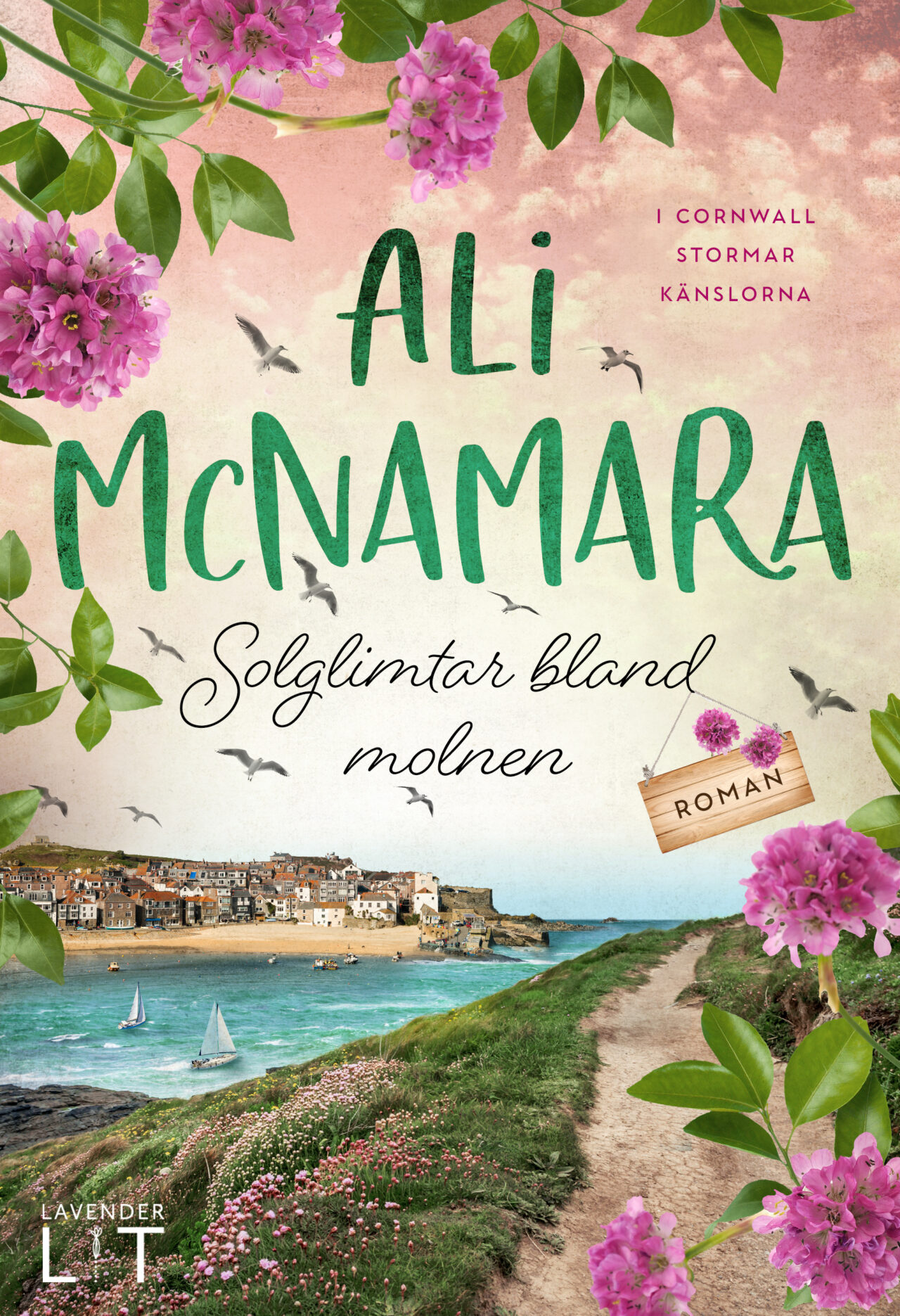 Solglimtar bland molnen by Ali McNamara | Goodreads