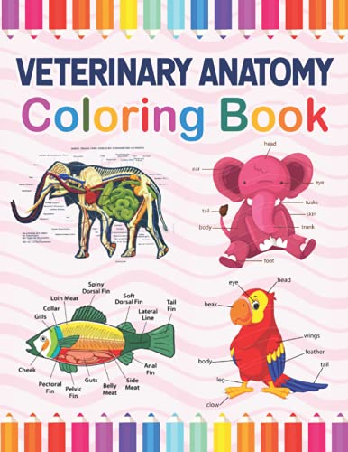 Veterinary Anatomy Coloring Book: Veterinary Anatomy Coloring Book For ...