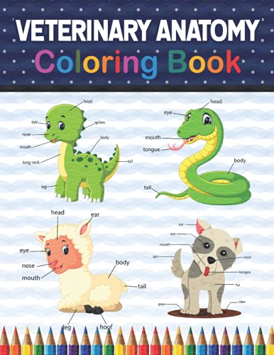 Veterinary Anatomy Coloring Book: Veterinary Anatomy Coloring Book For ...