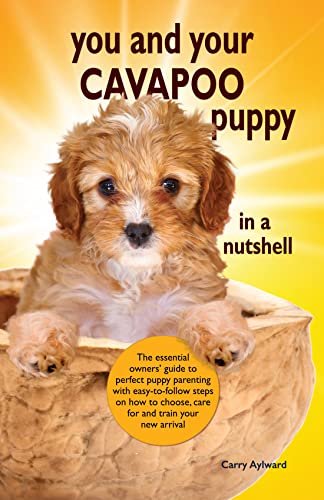 You and Your Cavapoo Puppy in a Nutshell: The essential owners’ guide ...