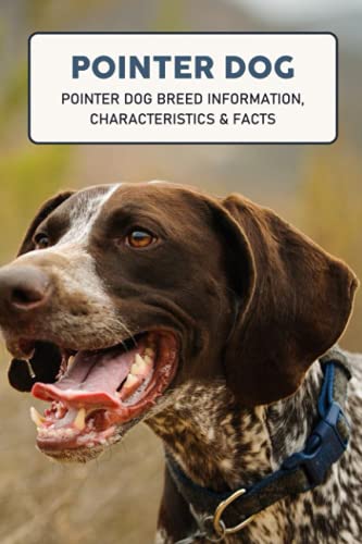 Pointer Dog: Pointer Dog Breed Information, Characteristics & Facts ...