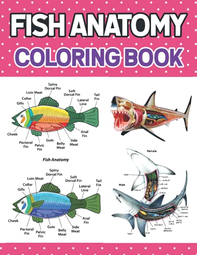 Fish Anatomy Coloring Book: Fish Anatomy Coloring Book For Kids ...