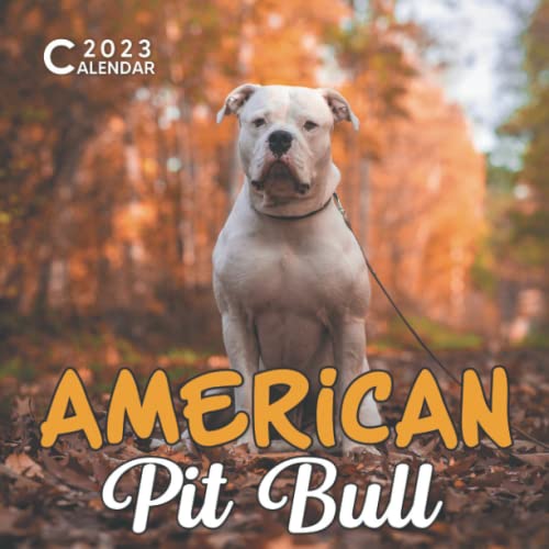 American Pit Bull Calendar 2023: 18 month Calendars span July 2022 to ...
