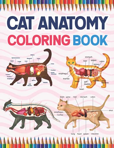 Cat Anatomy Coloring Book: A Great Cat Anatomy Coloring Book For Kids ...