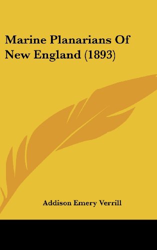 Marine Planarians Of New England (1893) by Addison Emery Verrill ...