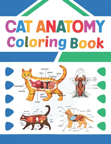 Cat Anatomy Coloring Book: Learn Cat Anatomy With Fun & Easy. Great ...