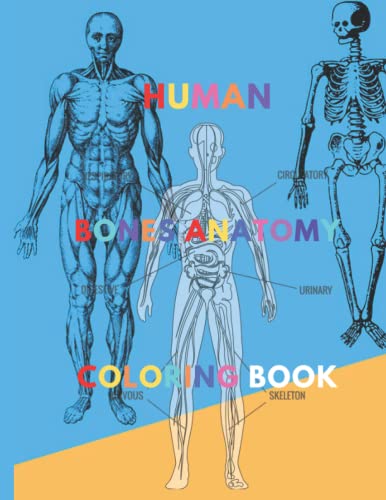 Human Bones Anatomy Coloring Book: Great Coloring Book For Learn , Fun ...