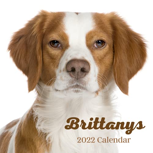 Brittanys 2022 calendar: 18 Months Calendar 2022-2023 For Women, Men ...
