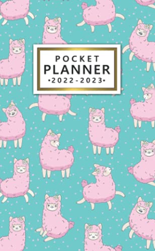 2022-2023 Pocket Planner: 2 Year Monthly Pocket Organizer, Calendar ...