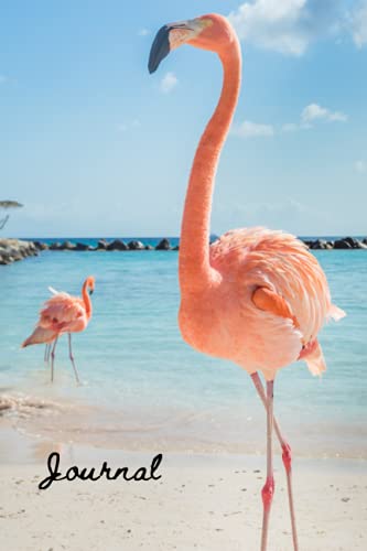 Flamingo Journal: Pink Flamingo journal notebook for Kids, Girls, Men ...