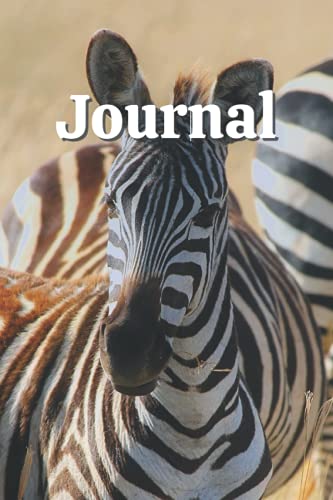 Zebra Lined Journal: Notebook For on the go, Business, School or ...