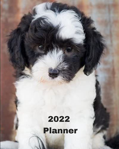 2022 Planner: Sheepadoodle Puppy -12 Month Planner January 2021 to ...