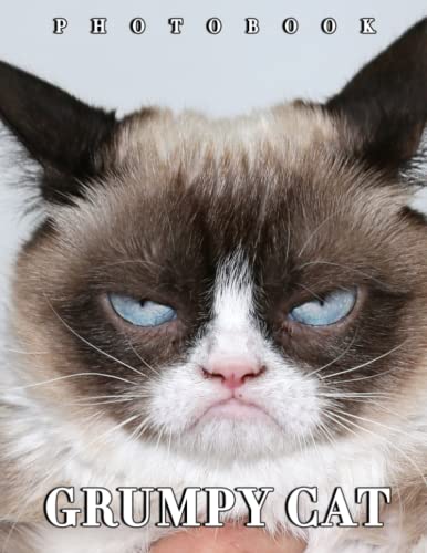 The Photo Of Grumpy Cat: Grumpy Cat 2023-2024 Calendar Bonus 4 Months ...