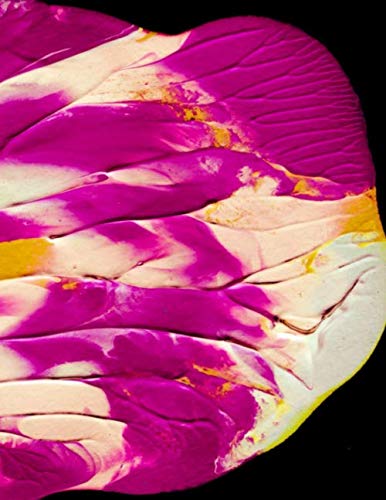 SketchBook: Multipurpose Notebook for Writing, Drawing, Sketching ...