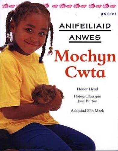 Mochyn Cwta (Cyfres Anifeiliaid Anwes) by Honor Head | Goodreads