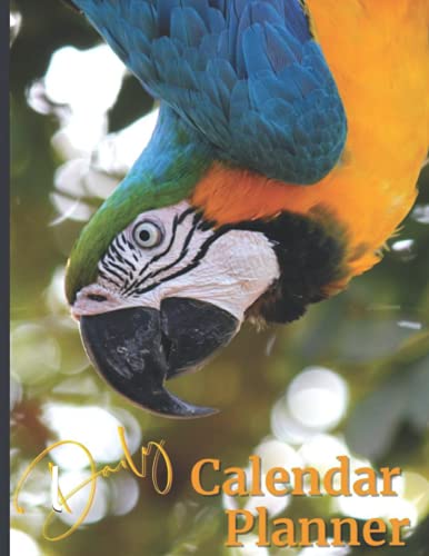TROPICAL MACAW PARROT DESIGN: Daily, Weekly, Monthly, Yearly Calendar ...