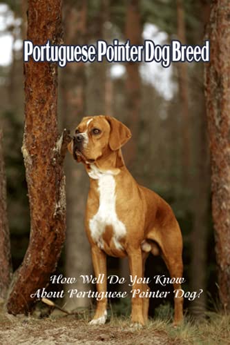 Portuguese Pointer Dog Breed: How Well Do You Know About Portuguese ...