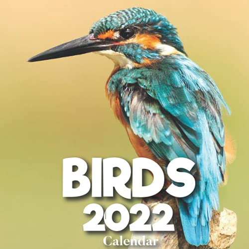 Birds Calendar: A Monthly and Weekly Calendar 2022 - 12 months - With ...