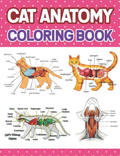 Cat Anatomy Coloring Book: Cat Anatomy Coloring Book For Kids & Adults ...