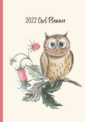 2022 Owl Planner: Weekly and Monthly Organizer by Katherine Kelley ...