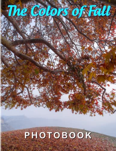 The Colors of Fall Photobook: Autumn Leaves Picture Book for Decor ...