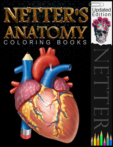 Netter's Anatomy Coloring Book Updated Edition: Netter's Anatomy ...