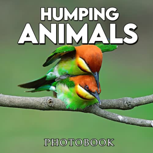 Humping Animals Photobook: Photographs Of Animals Acting Suspiciously ...