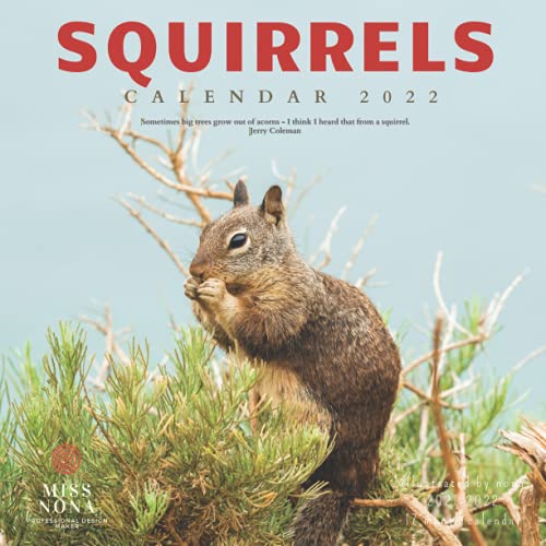 Squirrels Calendar 2022: August 2021 - December 2022 Monthly Calendar ...