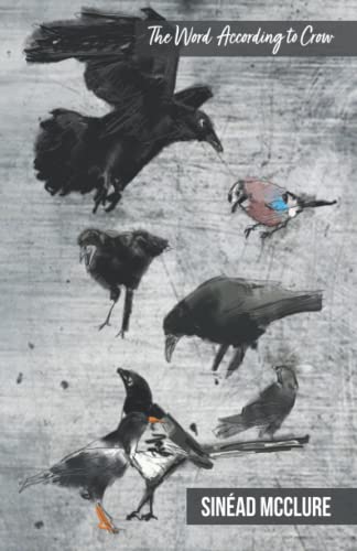 The Word According to Crow by Sinead McClure | Goodreads