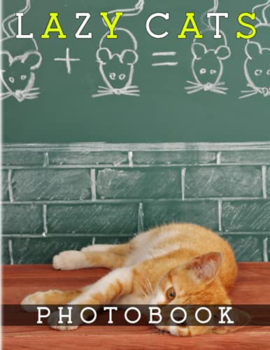 Lazy Cats Photo Book: Picture Book Of Funny And Indolent Cats With 40 ...