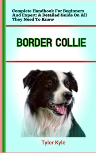 BORDER COLLIE: Ultimate Owners Guide To Training And Keeping Border ...