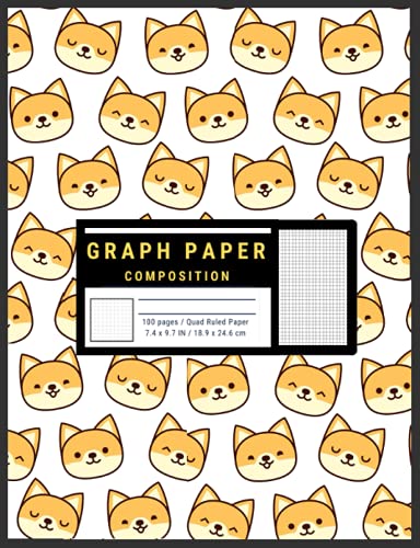 Graph Paper Composition: Graph Notebook, Quad Ruled Paper, 100 pages ...