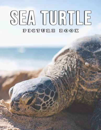 The Picture Book Of Sea Turtles: A Great Gift With Compelling And ...