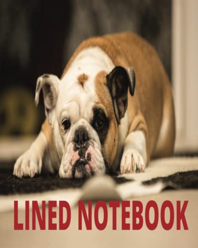 LINED NOTEBOOK: 120 PAGE LINED NOTEBOOK FOR THOSE IDEAS THAT YOU NEED ...