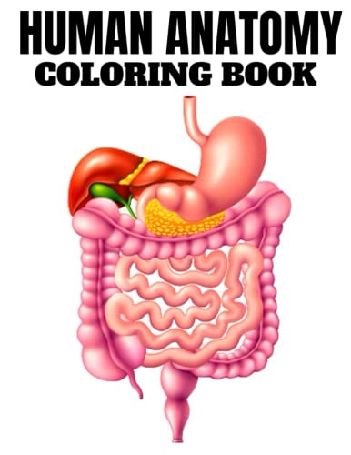 Human Anatomy: Human Anatomy Coloring book for kids Coloring the body ...