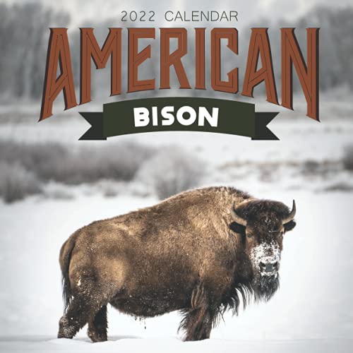 American Bison Calendar 2022: A great gift for yourself, friends ...