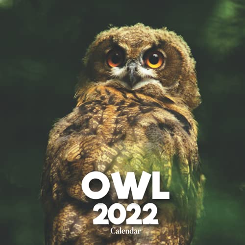 Owl 2022 Calendar: A Monthly and Weekly 12 Months Calendar 2022 With ...