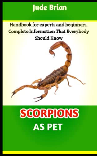 SCORPIONS AS PET: Best Guide To Training And Keeping Scorpion As Pet ...