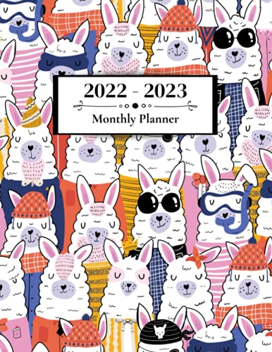 2022-2023 Monthly Planner: 2 Year Monthly Planner Calendar Schedule ...