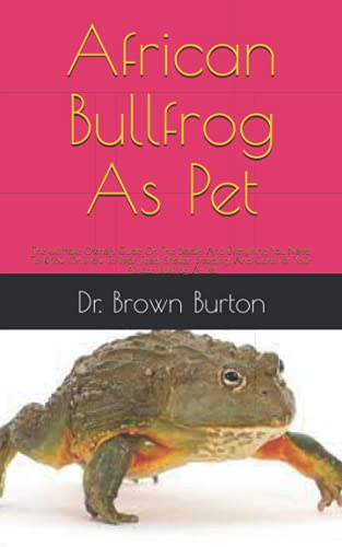 African Bullfrog As Pet: The Ultimate Owners Guide On The Details And ...