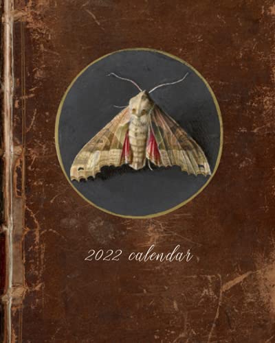 2022 CALENDAR: 8x10 CALENDAR : 12 Months + year views + lined paper ...