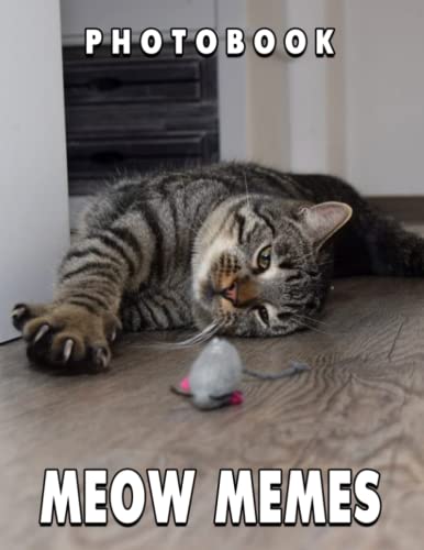 A Photo Book Of Meow Memes: Meow Memes 2023-2024 Calendar Bonus 6 ...