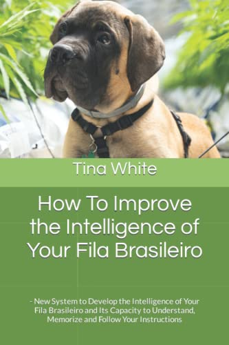 How To Improve the Intelligence of Your Fila Brasileiro: - New System ...