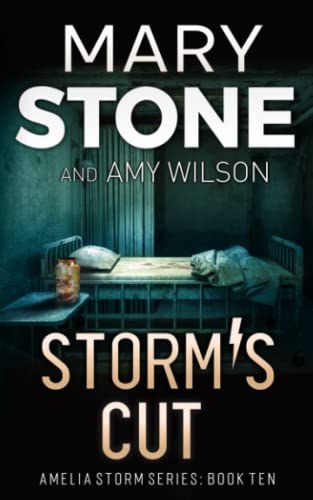 Storm's Cut (Amelia Storm FBI Mystery Series) by Mary Stone | Goodreads